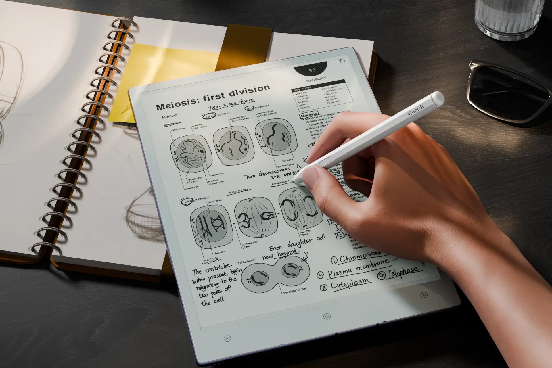 How to Annotate and Organize PDFs on Viwoods E Ink Tablets